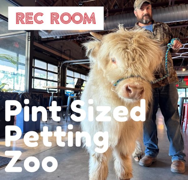 Pint Sized Petting Zoo | The Pines Times
